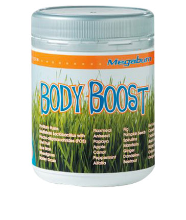 Body Boost Tub